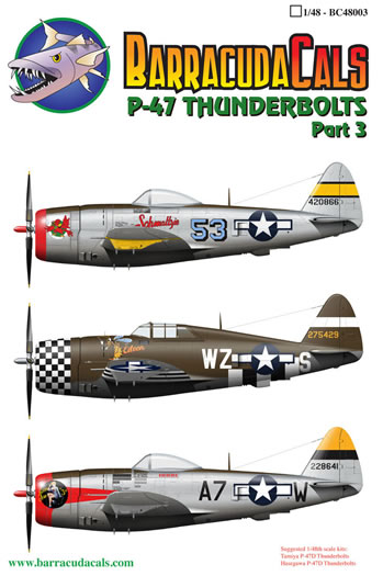 P-47 Thunderbolts Part 3 Review by Glen Porter (BarracudaCals 1/48)