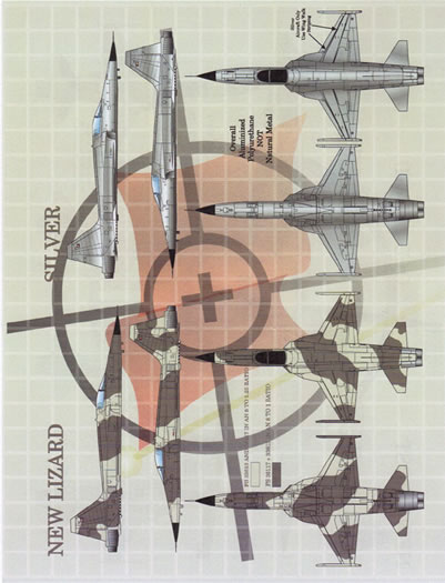 F-5E Tiger II Decal Review by Ken Bowes (Afterburner Decals 1/48)