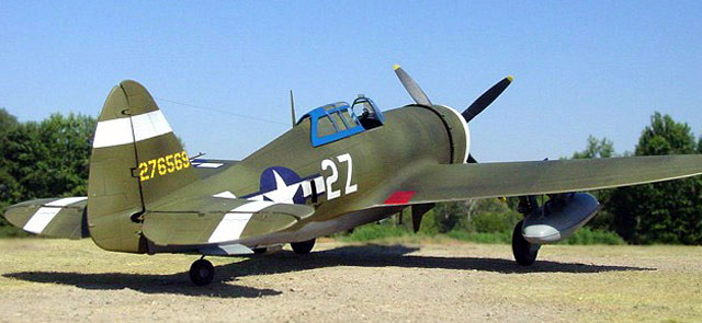 Republic P-47D Thunderbolt by Ian Robertson (Hasegawa 1/48)