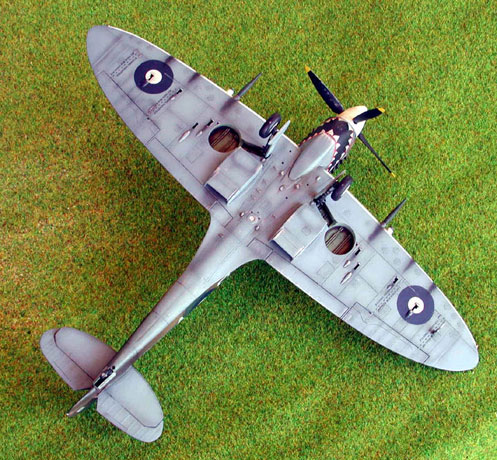 Supermarine Spitfire Mk. VIII by Darren Howie (Hasegawa 1/48)