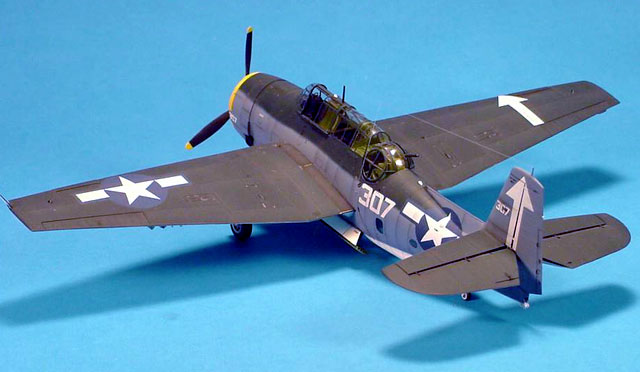 TBM-3 by Randy Lutz (Accurate Miniatures 1/48)