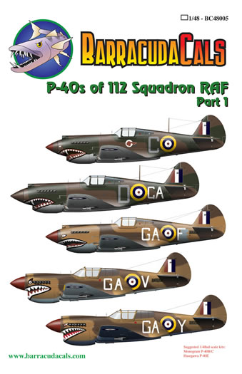 P 40 Decals