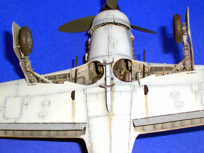 Trimaster / DML 1/48 scale Focke-Wulf Fw 190 D-9 by Christian Lehmann